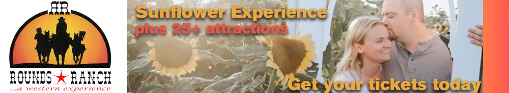 Barrie Festivals and Events